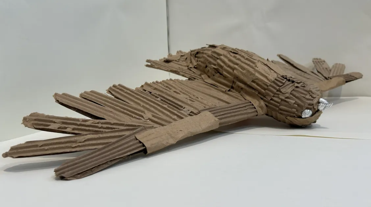 The Burrowing Owl | Wake Tech