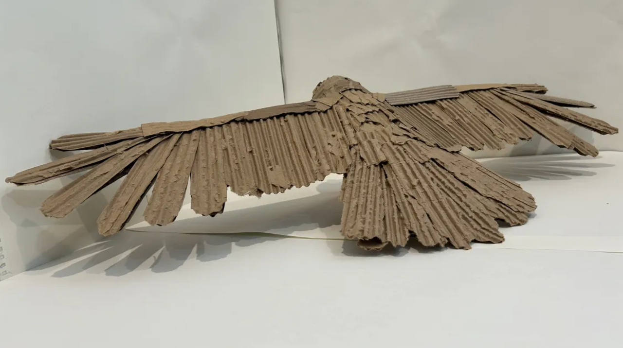 The Burrowing Owl | Wake Tech